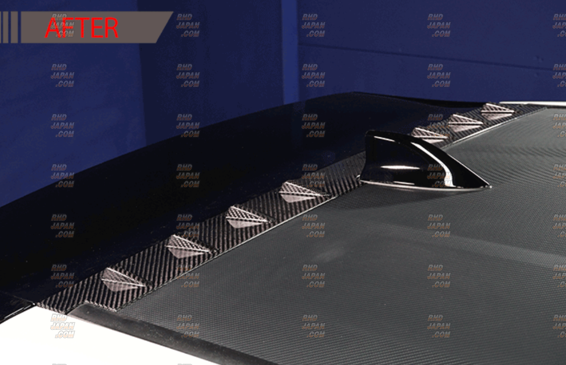 Axis-Parts Vortex Generator GT Dry Carbon Fiber Half-Gloss Half-Matte ...