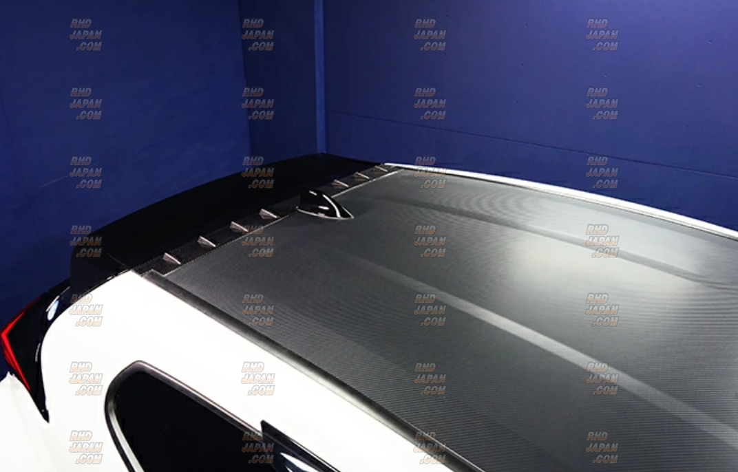 Axis-Parts Vortex Generator GT Dry Carbon Fiber Half-Gloss Half-Matte ...
